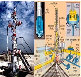 Petroleum Academy International